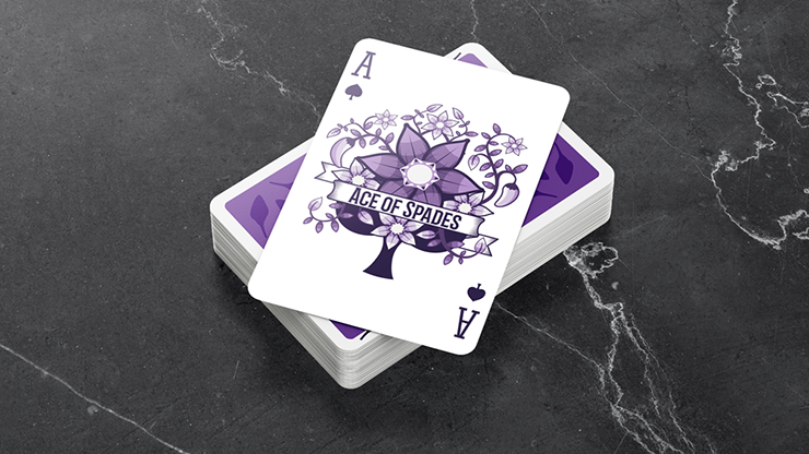 my-magicshop.com | Aurora Chillies Playing Cards